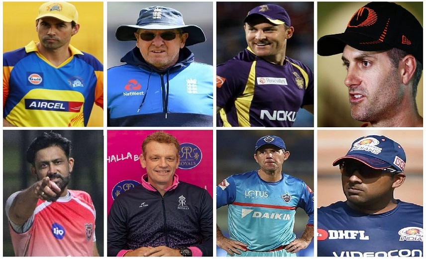Daily Cricket | What Are IPL Coaches Paid?